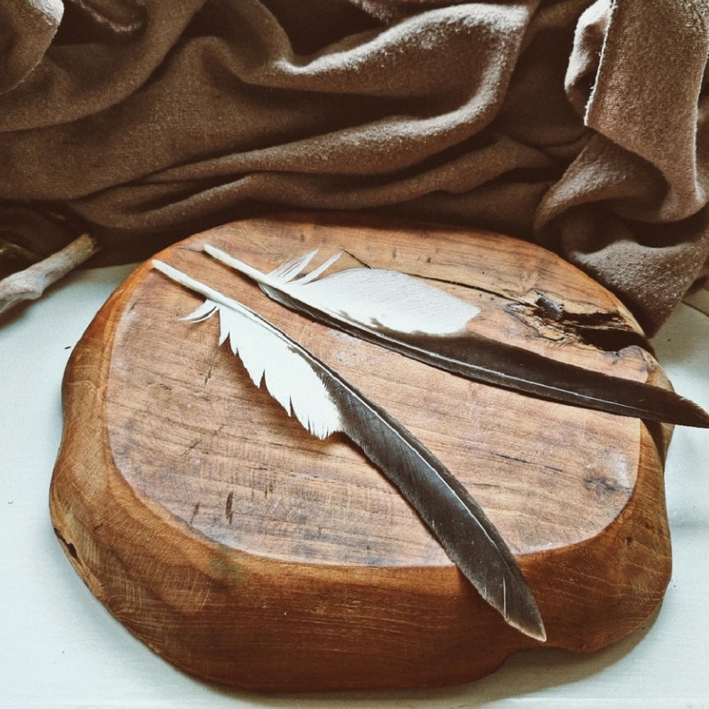 Large Feathers - Etsy