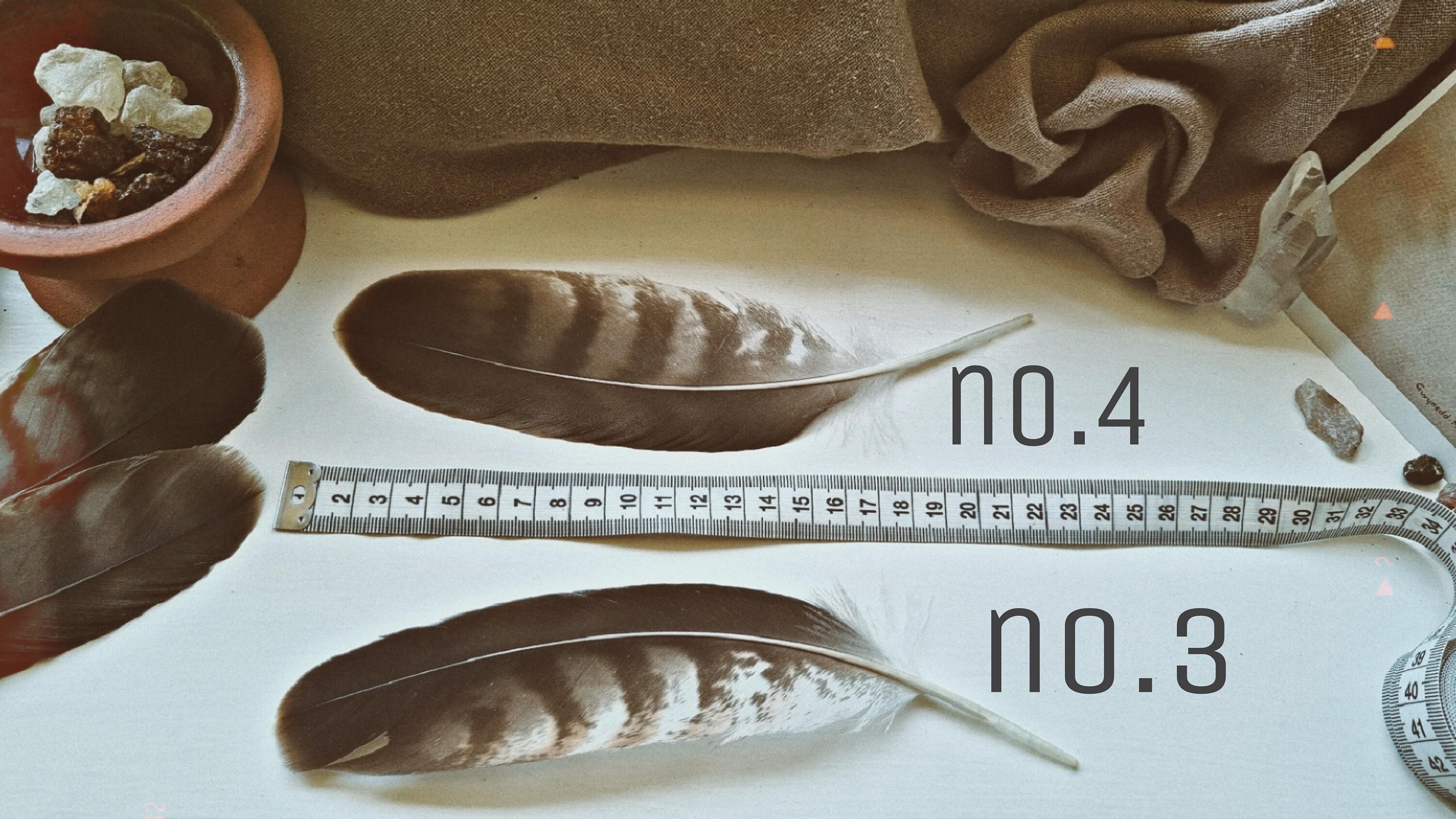 One Hawk Wing Feather, Buzzard, Bird of Prey, Ceremonial Healing ...