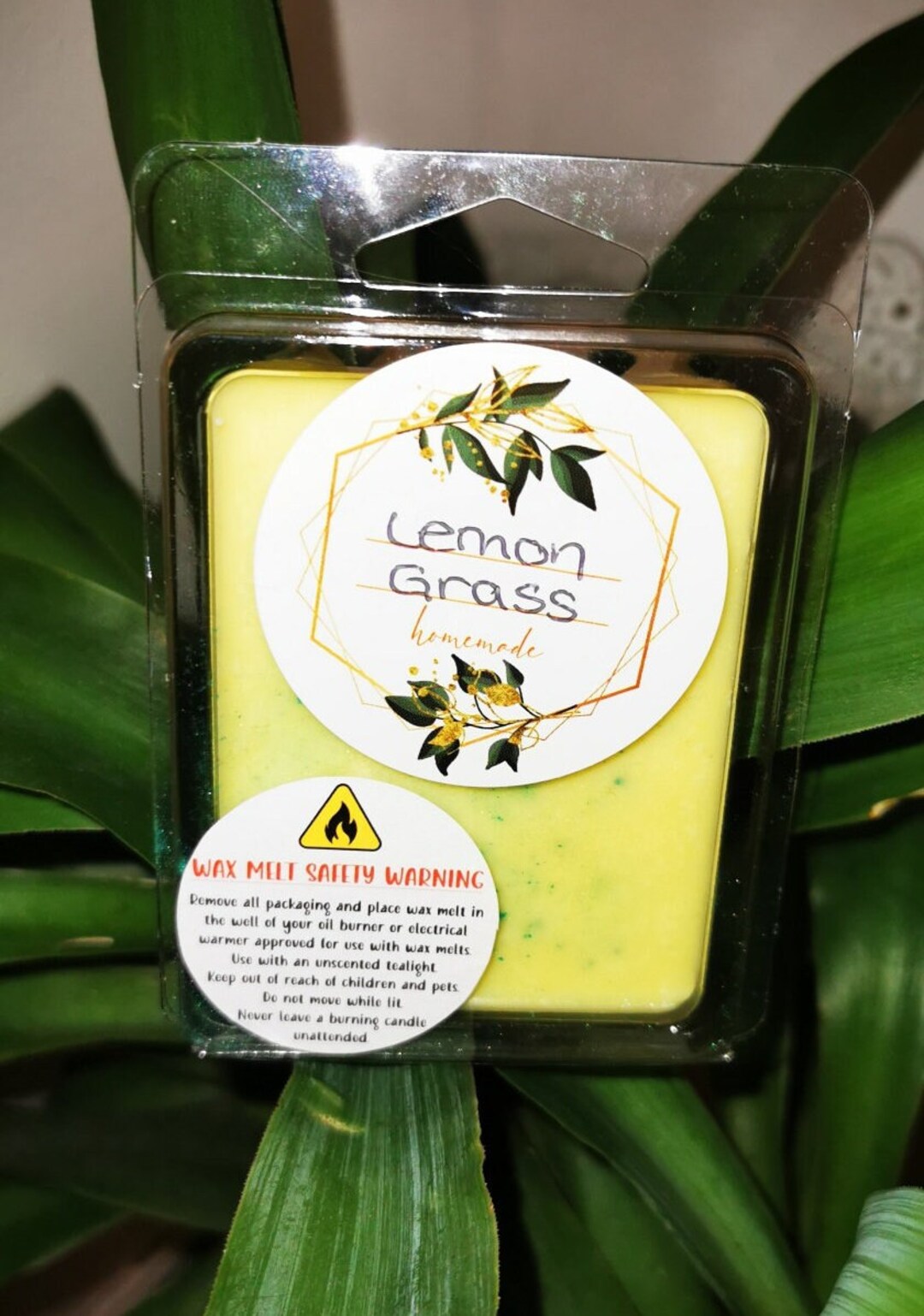 Lemon Grass 6 Cell Clamshell - Etsy