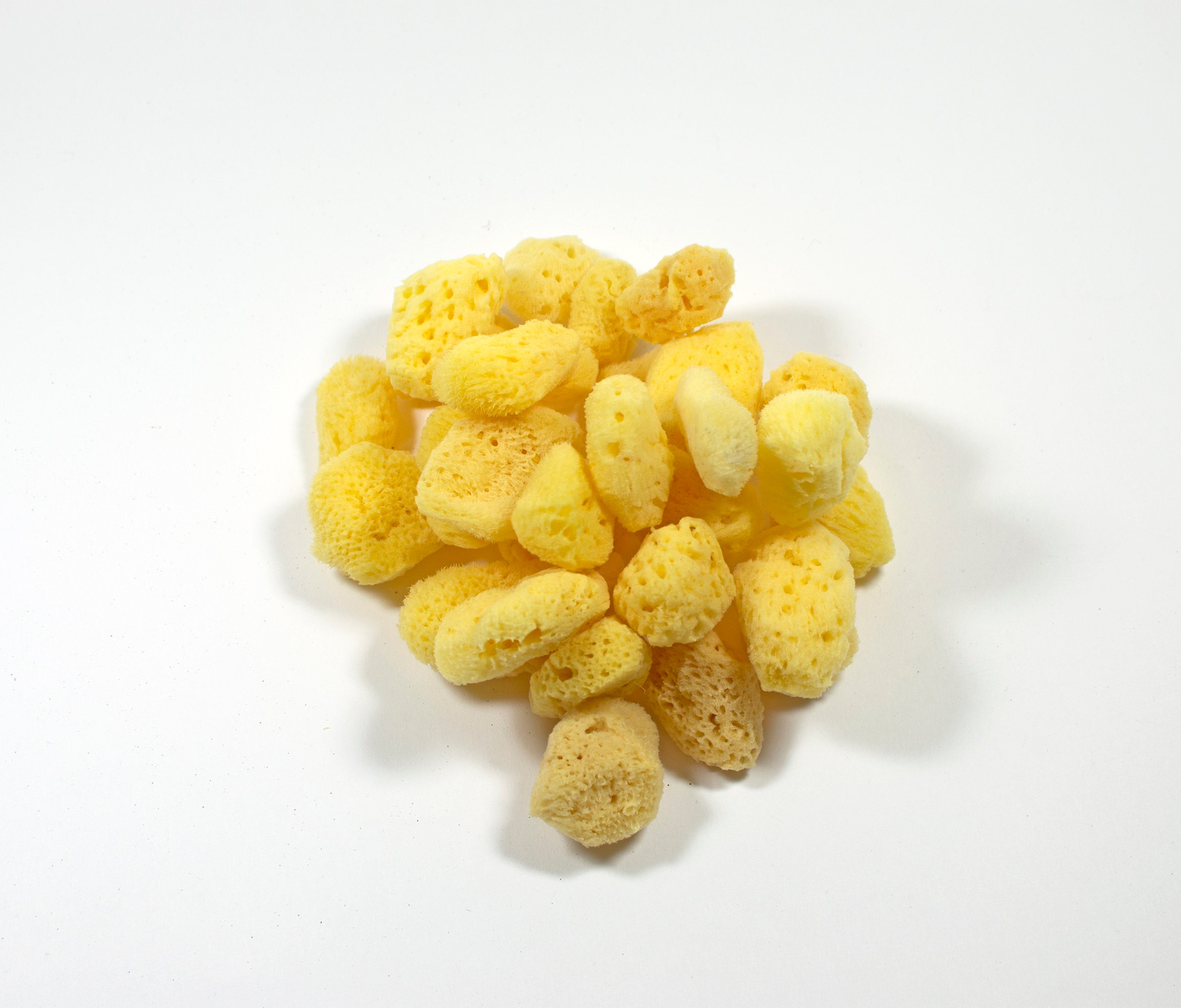 Natural Kalymnos Greek Sea Sponges Silk Facial Sponges 2.0-4.0 - Etsy