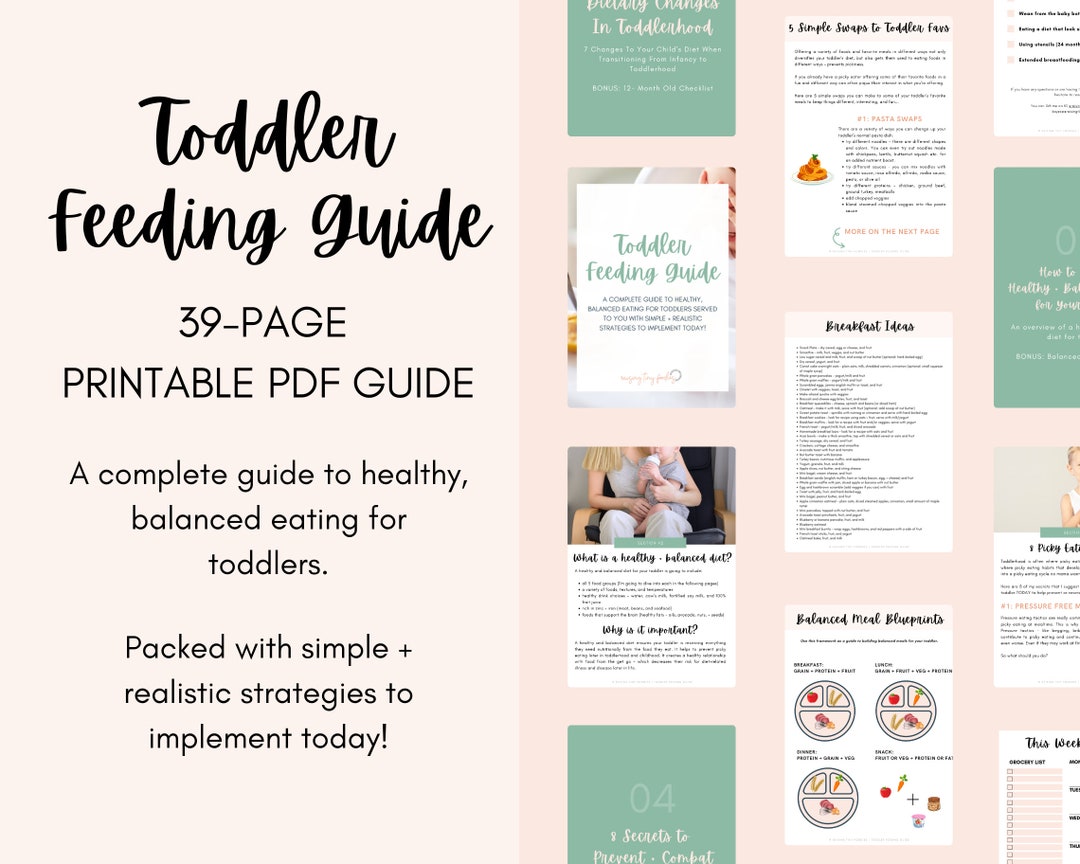 Toddler Feeding Guide | Toddler Meal Ideas | Toddler Meal Plan Template ...