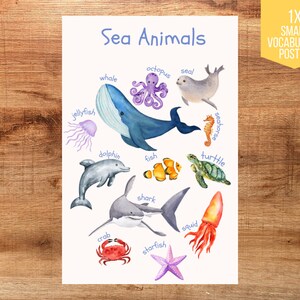 Sea Animals Activities Printable, Sea Animals Printables, Spelling and ...