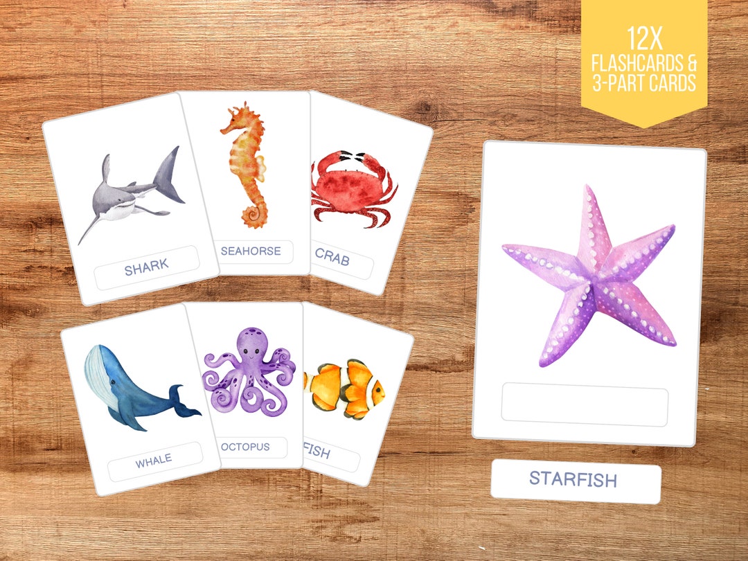 Sea Animals Activities Printable, Sea Animals Printables, Spelling and ...
