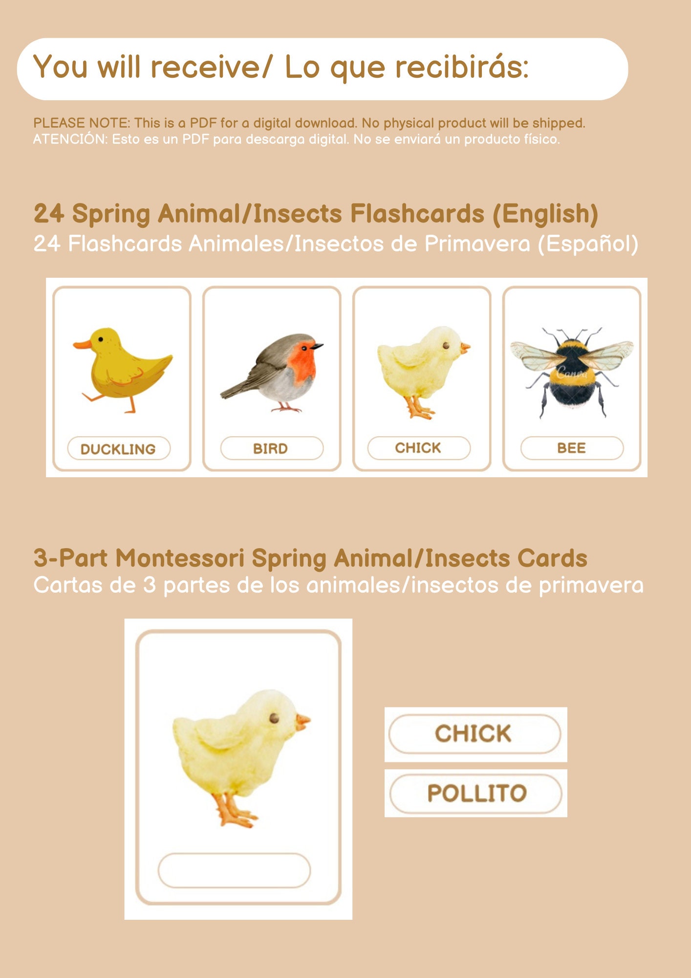 Spring Animals and Insects Busy Book Printable. Printable Flashcards ...