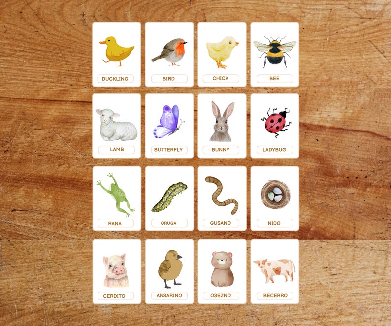 Spring Animals and Insects Busy Book Printable. Printable Flashcards ...