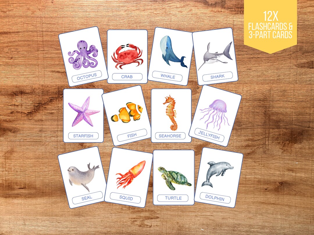 Sea Animals Flashcards: Preschool Learning Activities (PDF) - Etsy