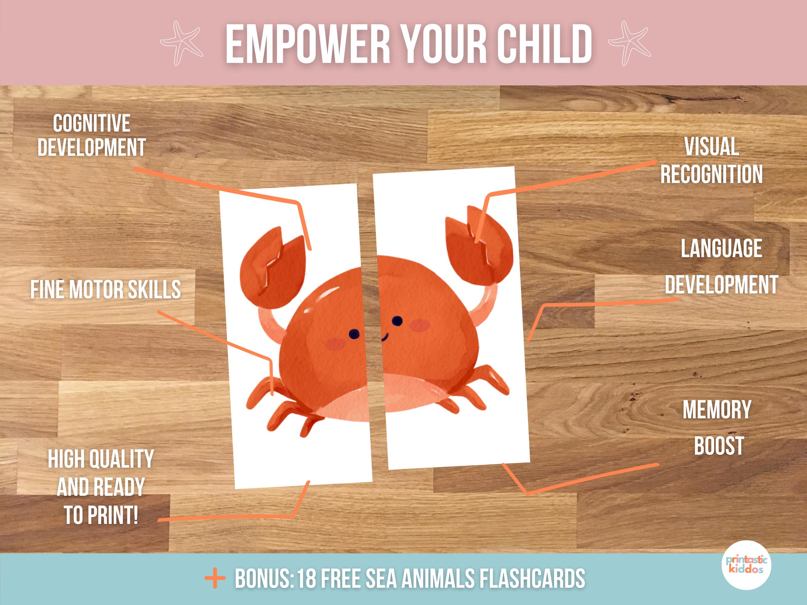 Sea Animals Matching Game: Toddler Learning Activity (digital Download ...
