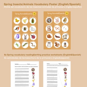 Spring Animals and Insects Busy Book Printable. Printable Flashcards ...