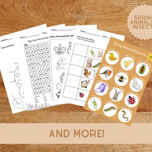 Spring Animals and Insects Busy Book Printable. Printable Flashcards ...