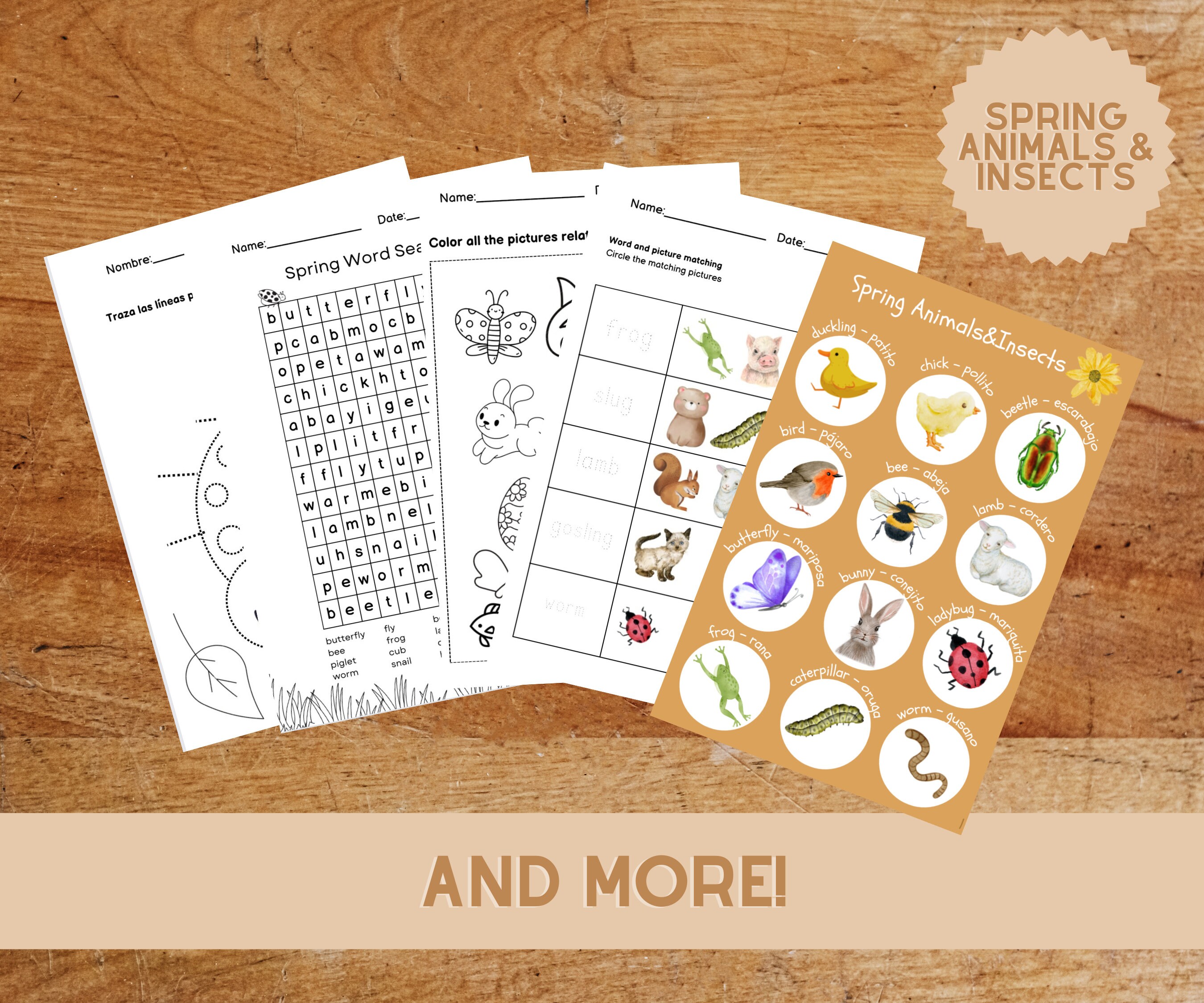Spring Animals and Insects Busy Book Printable. Printable Flashcards ...