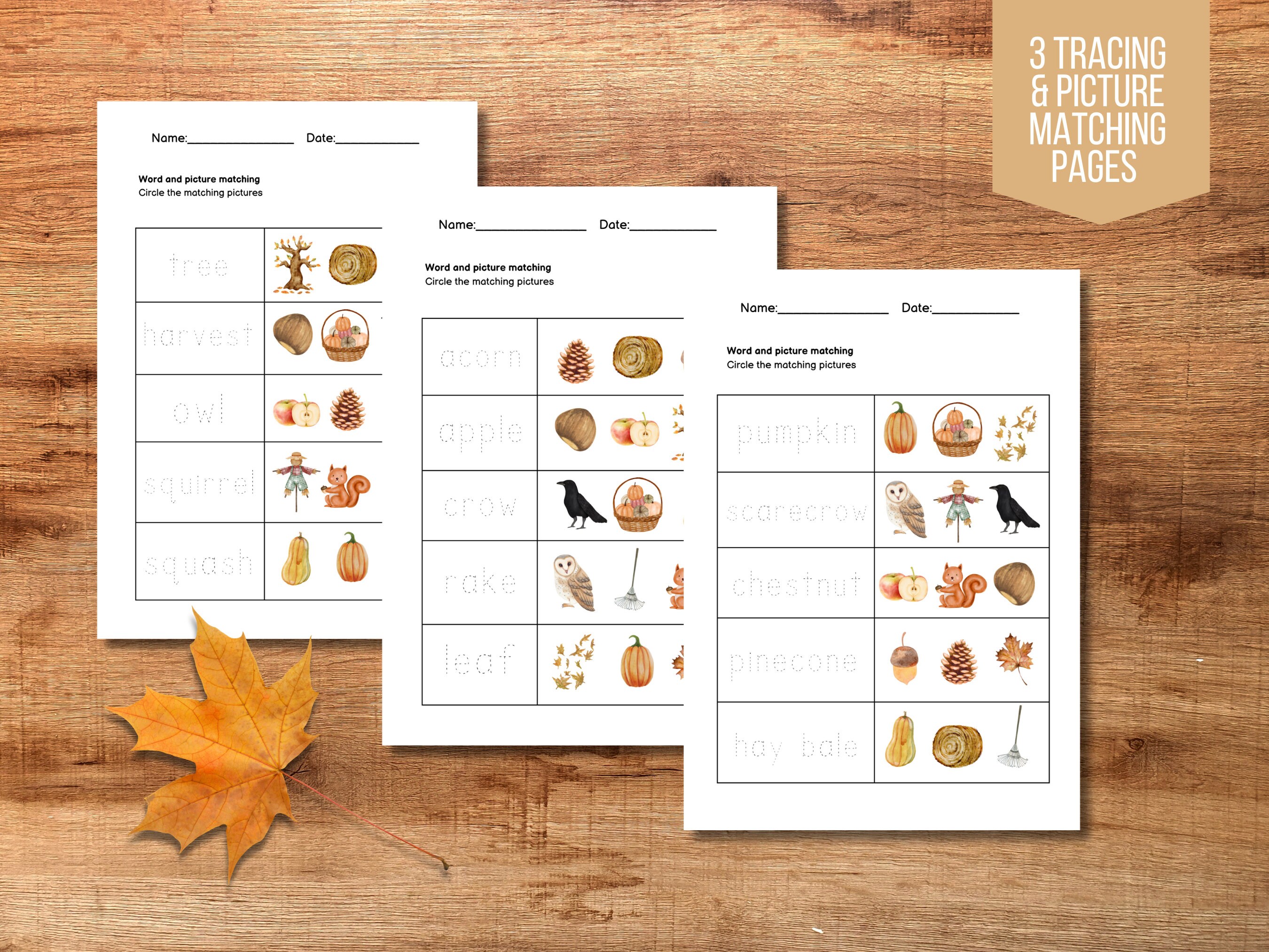 Fall Busy Book Printable, Printable Flashcards, Fall Coloring Pages ...