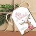 Editable Feliz Navidad Tag, Spanish Christmas Gift Tags, Printable ...