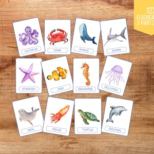 Sea Animals Activities Printable, Sea Animals Printables, Spelling and ...