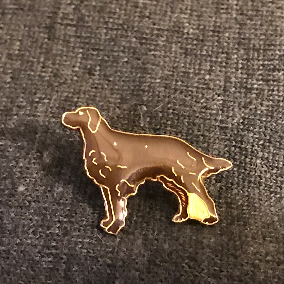 Classic Enamel Setter Lapel Pin - Etsy
