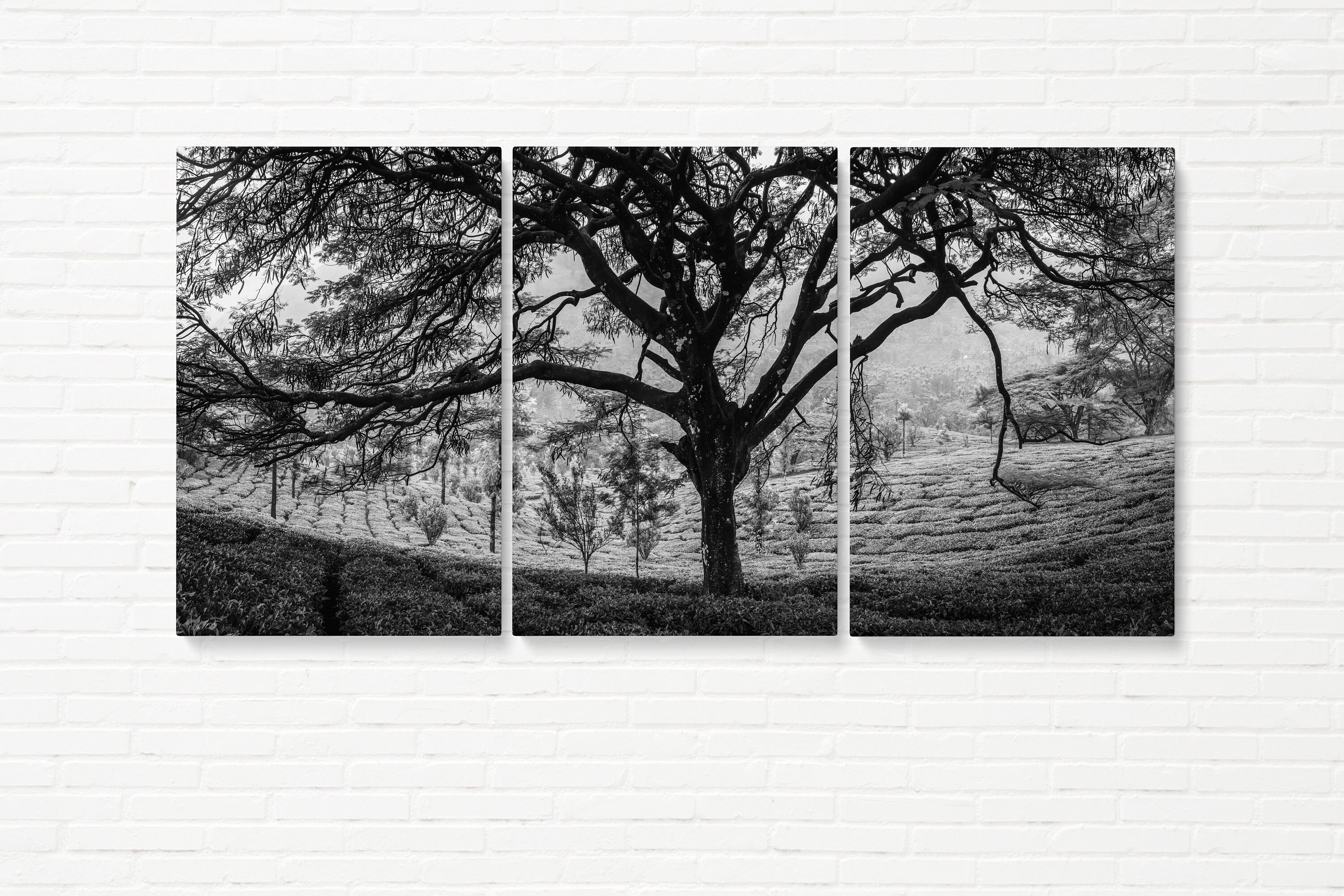 Black and White Tree Photography Canvas Landscape Photo Set of 1 3 4 5 ...