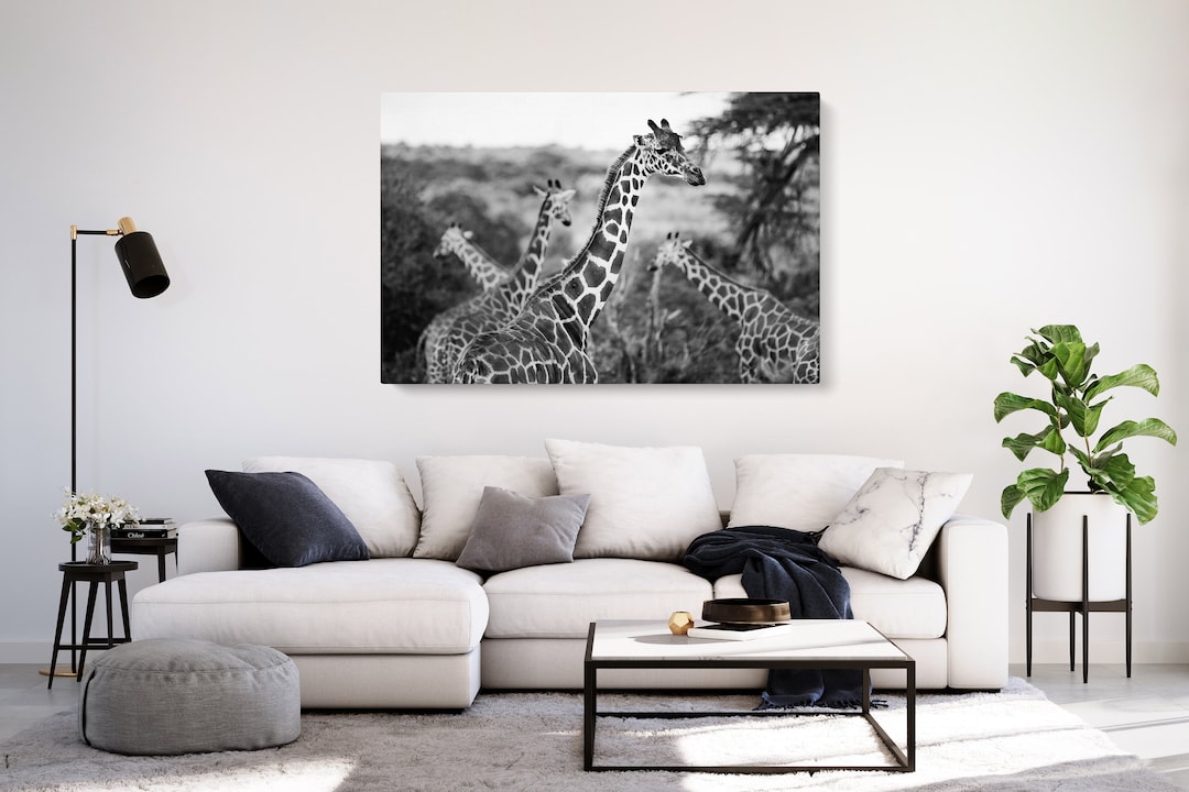 Black and White Giraffes Photography Canvas | Wildlife Photo Set of 1 2 ...