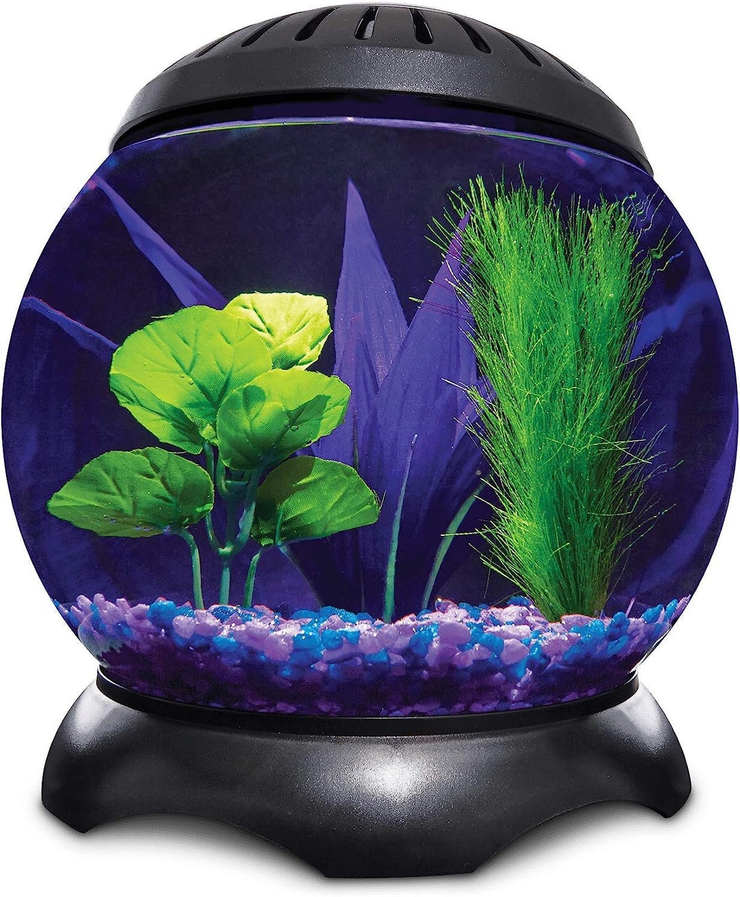 Imagitarium 1.3 Gallon Lotus Tank - Etsy