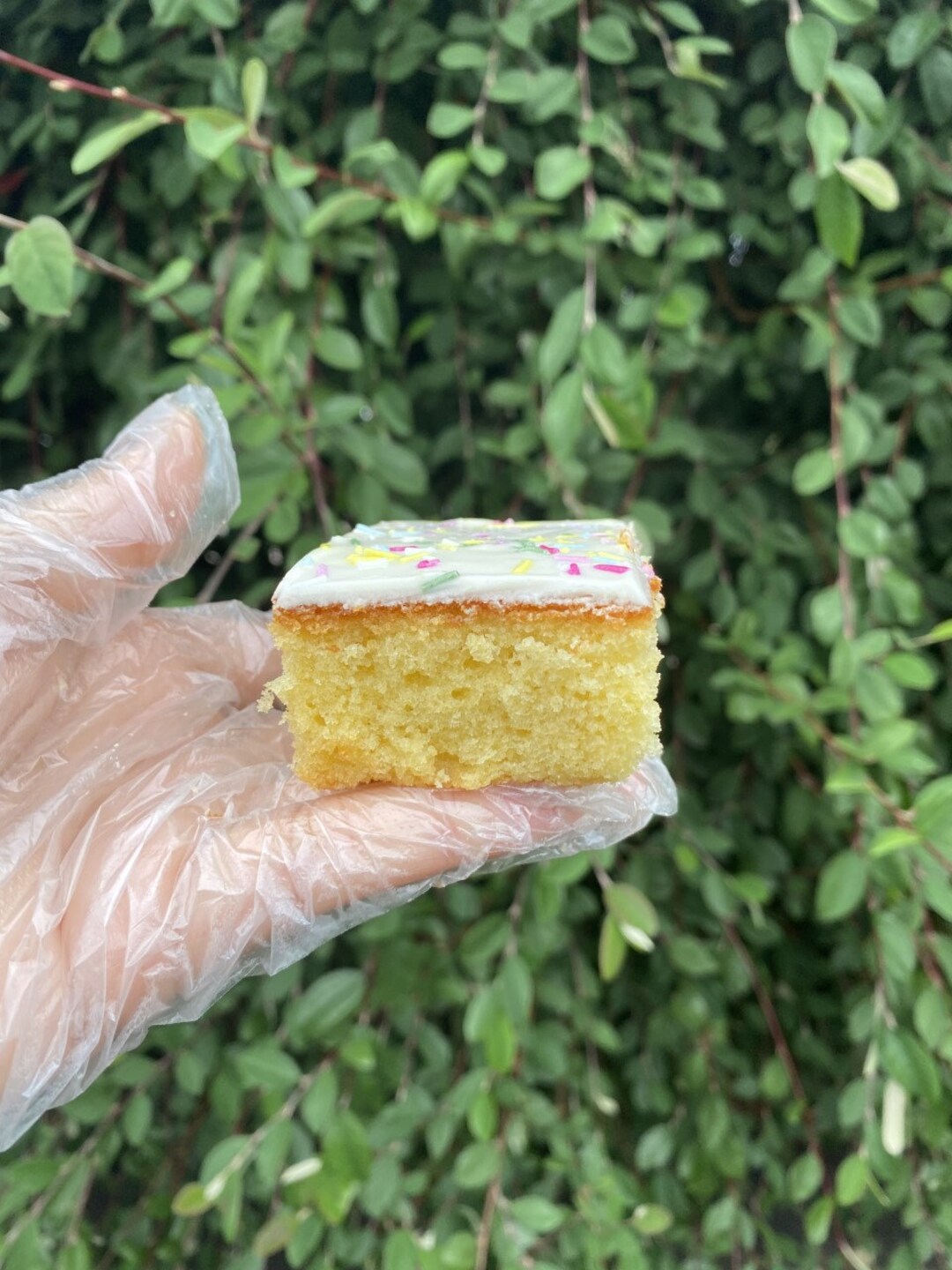 Homemade Old School Sprinkle Cake Slices Tray Bake Serves 8 Sprinkle ...