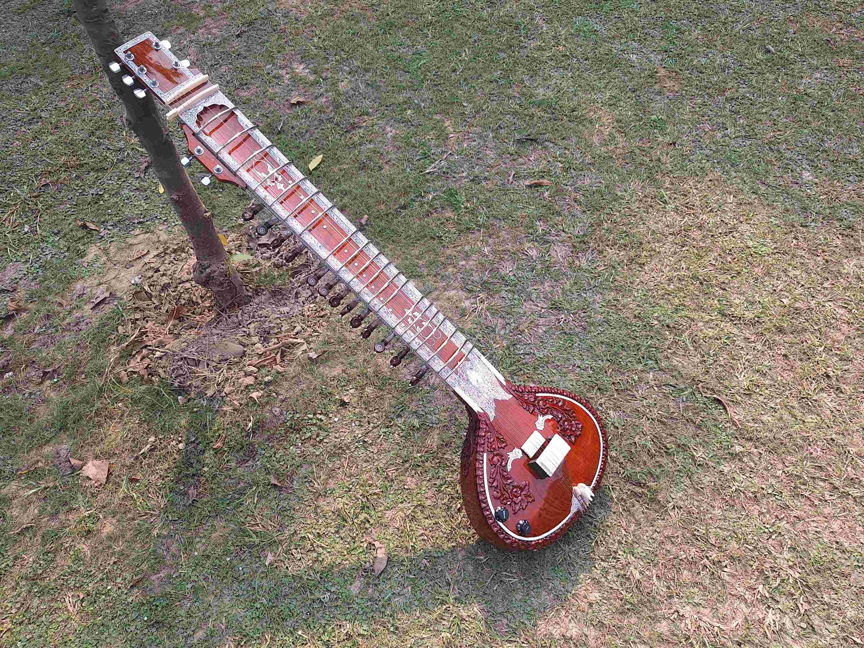 Handmade Tun Wood Sitar: Ravi Shankar Style, 7 Main Strings,travel ...