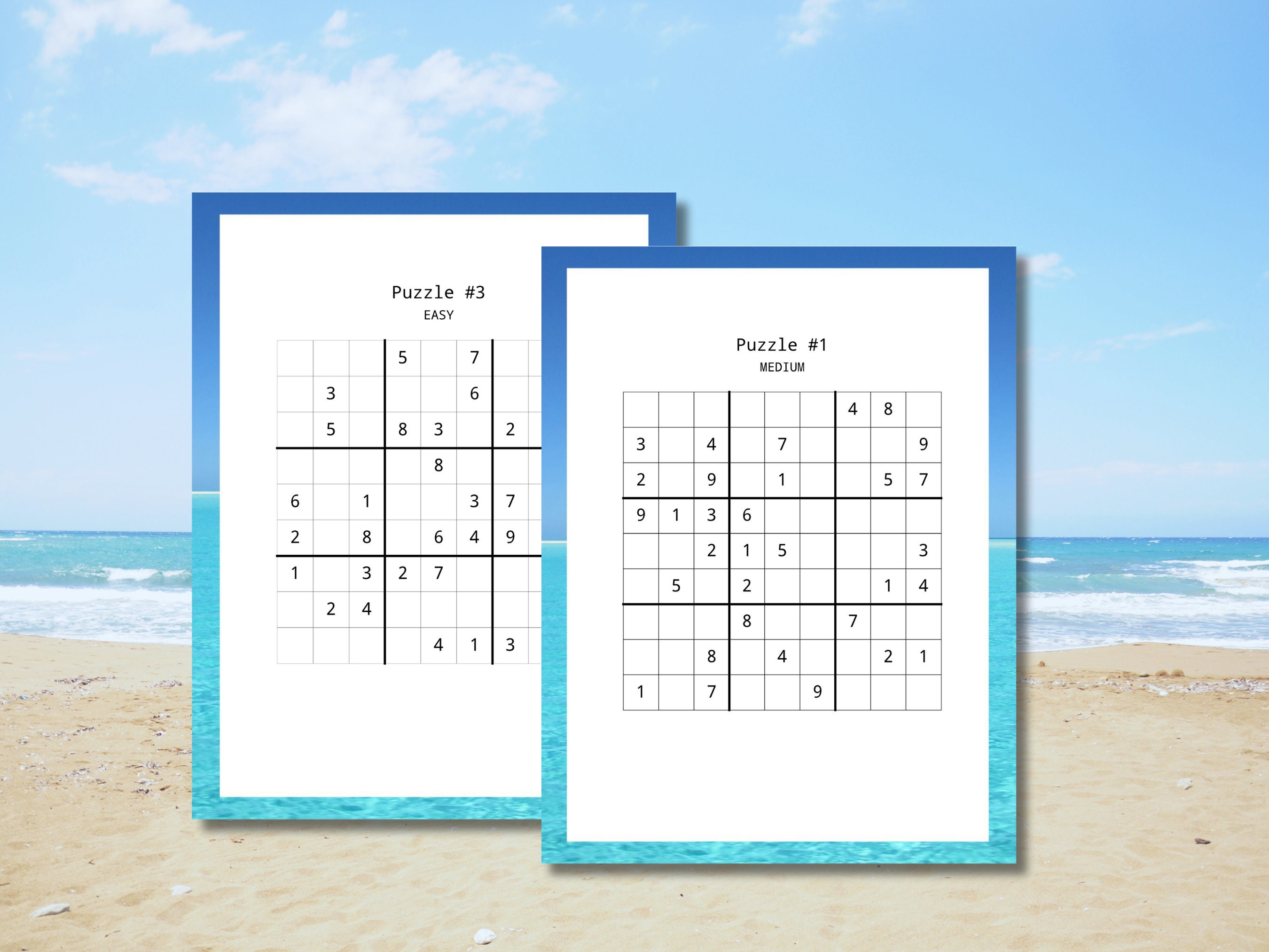 Number Fun Logic Puzzles and Brain Games Digital Download Activity Pack ...