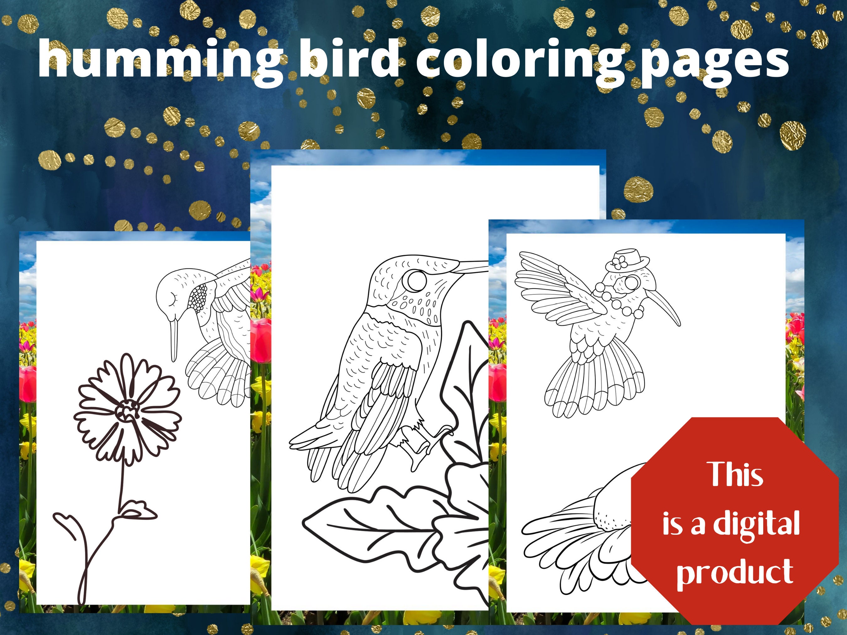 Hummingbird Morning Mazes, Dot-to-dot, Find the Difference, and Minimal ...
