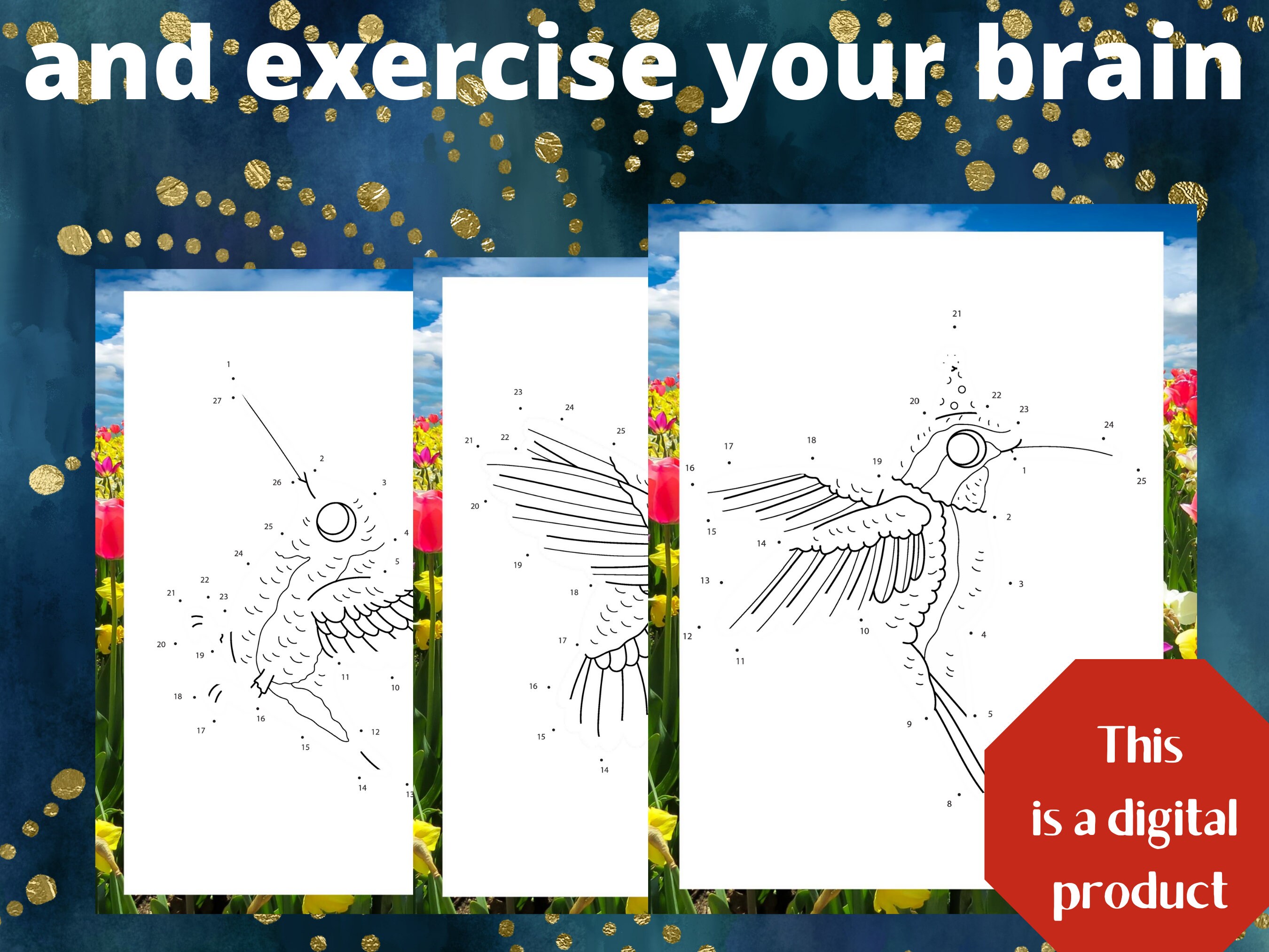 Hummingbird Morning Mazes, Dot-to-dot, Find the Difference, and Minimal ...