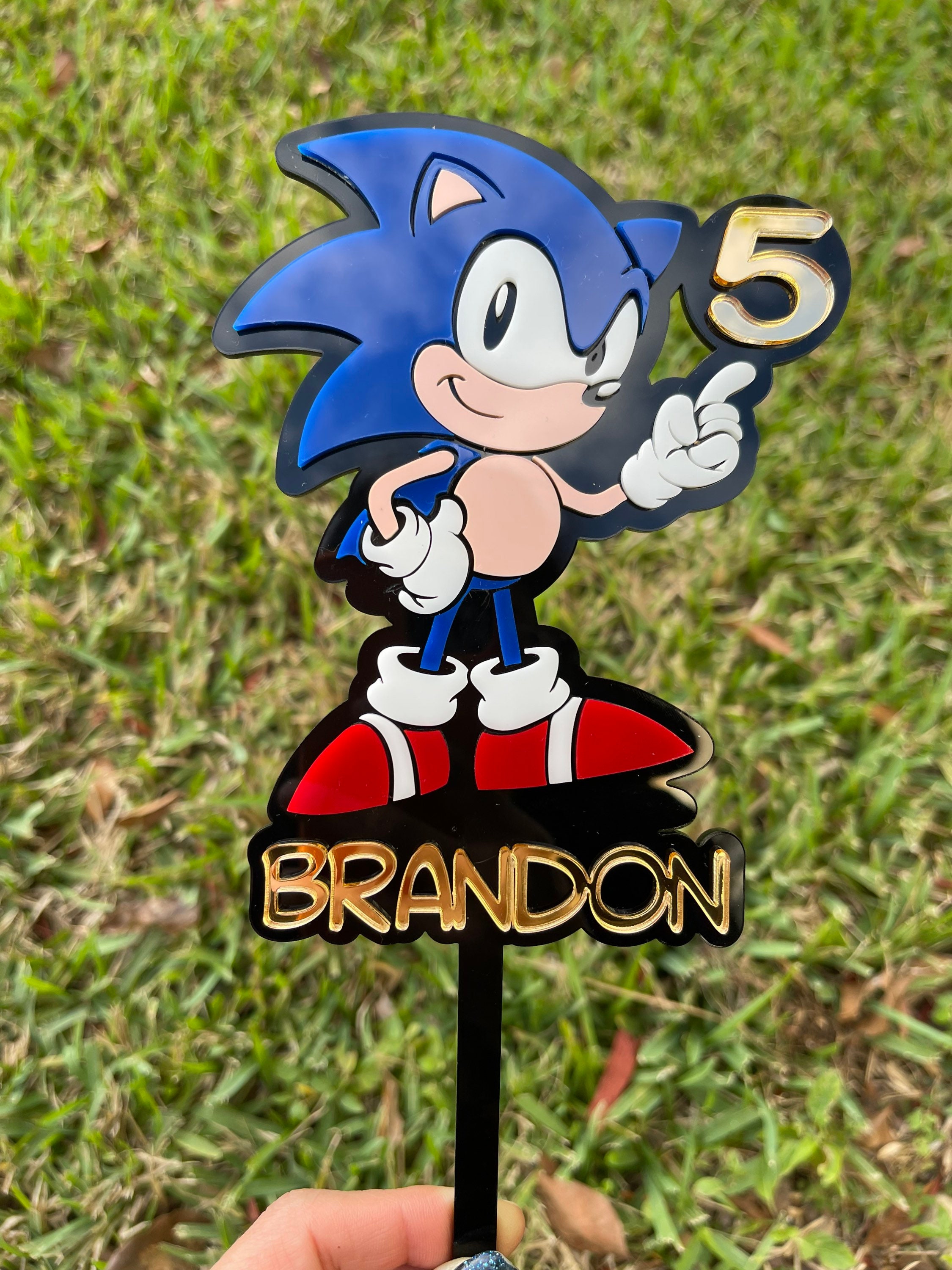 Brandon The Hedgehog
