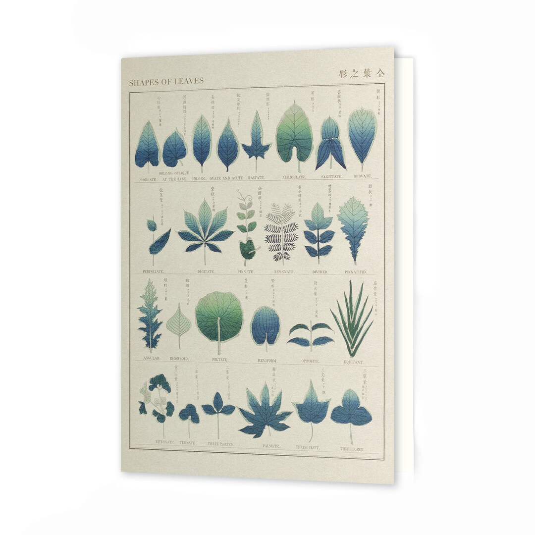 Greetings Card Shapes of Leaves - Etsy