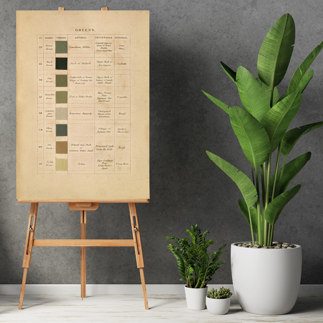 Vintage Paint Chart Poster Colors of Nature Green Vintage - Etsy