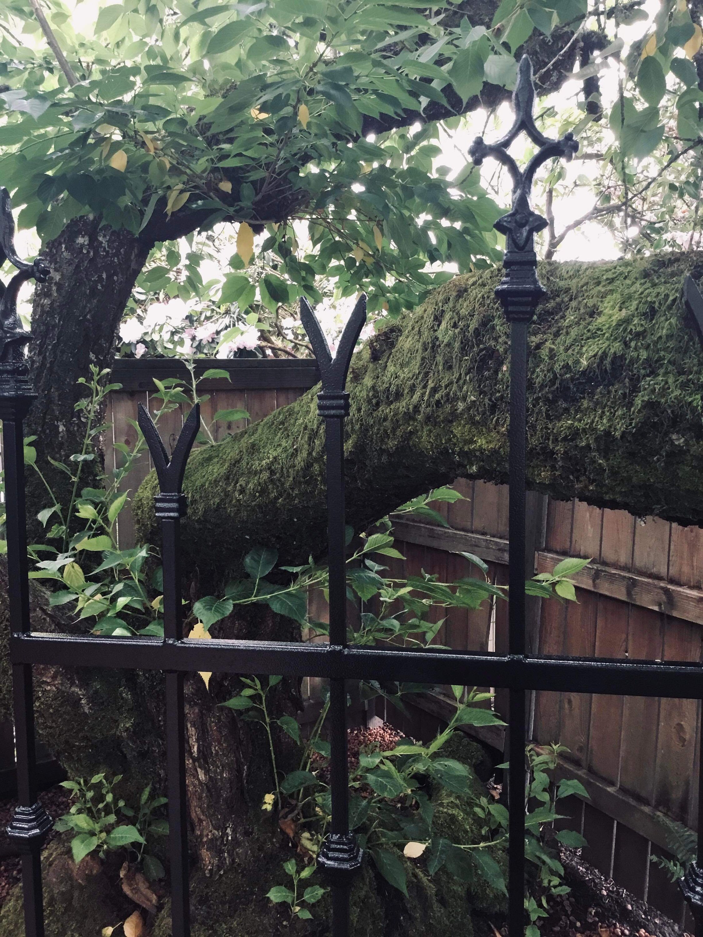 Medieval Gothic Style Wrought Iron Gate - Etsy