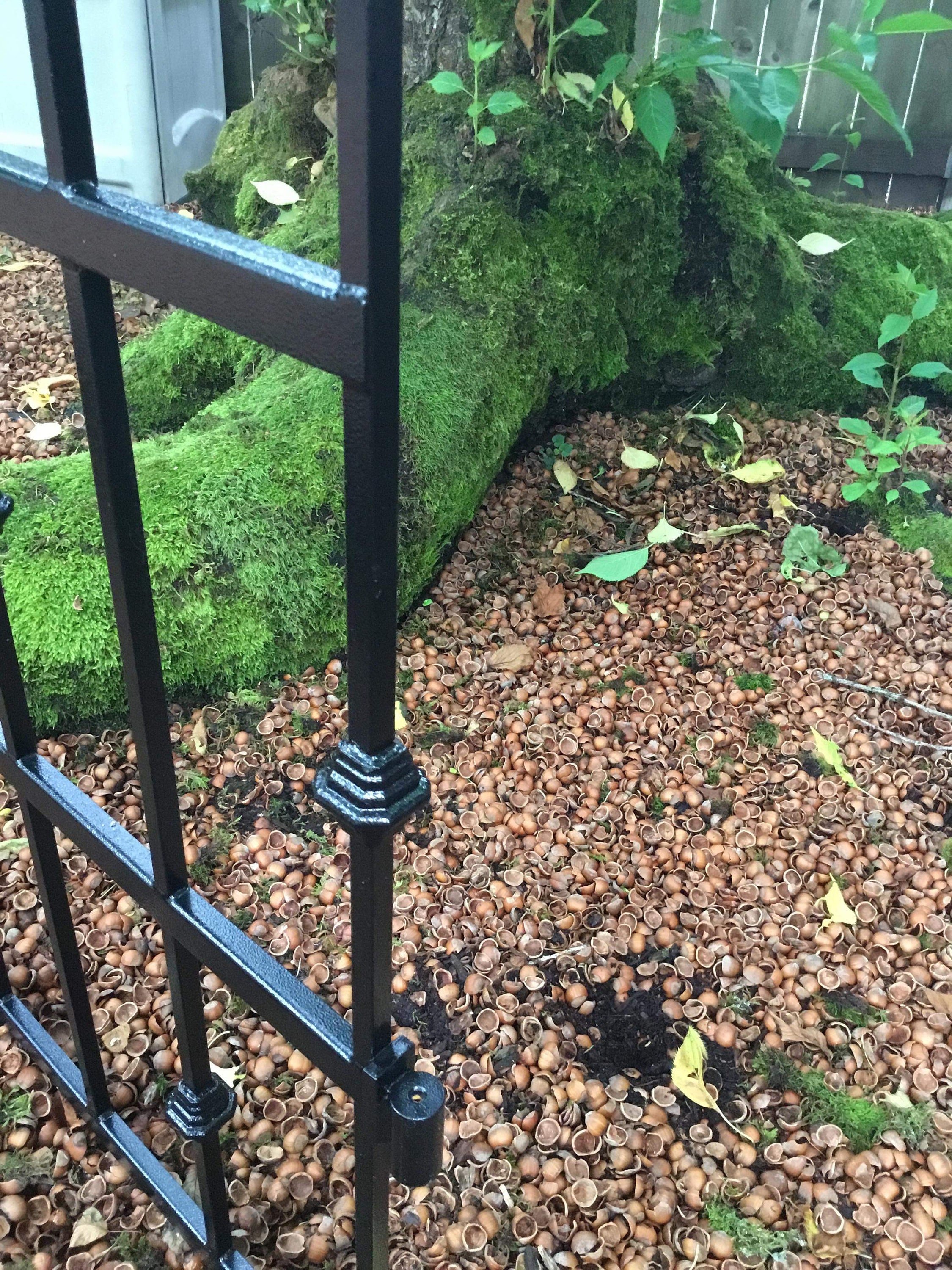 Medieval Gothic Style Wrought Iron Gate - Etsy