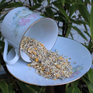 Teacup Birdfeeder/birdbath - Etsy