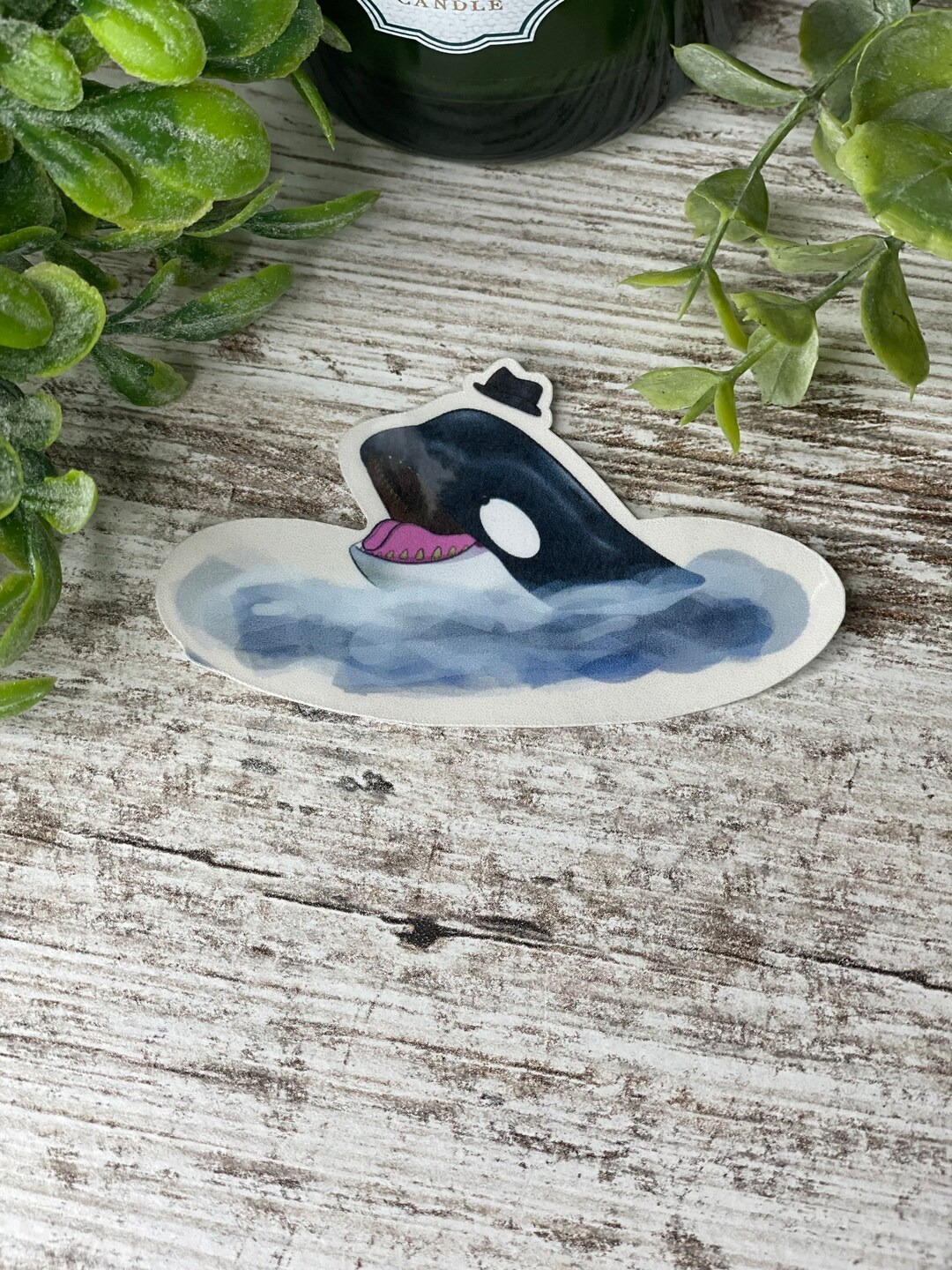 Fedora Orca Killer Whale Sticker - Etsy