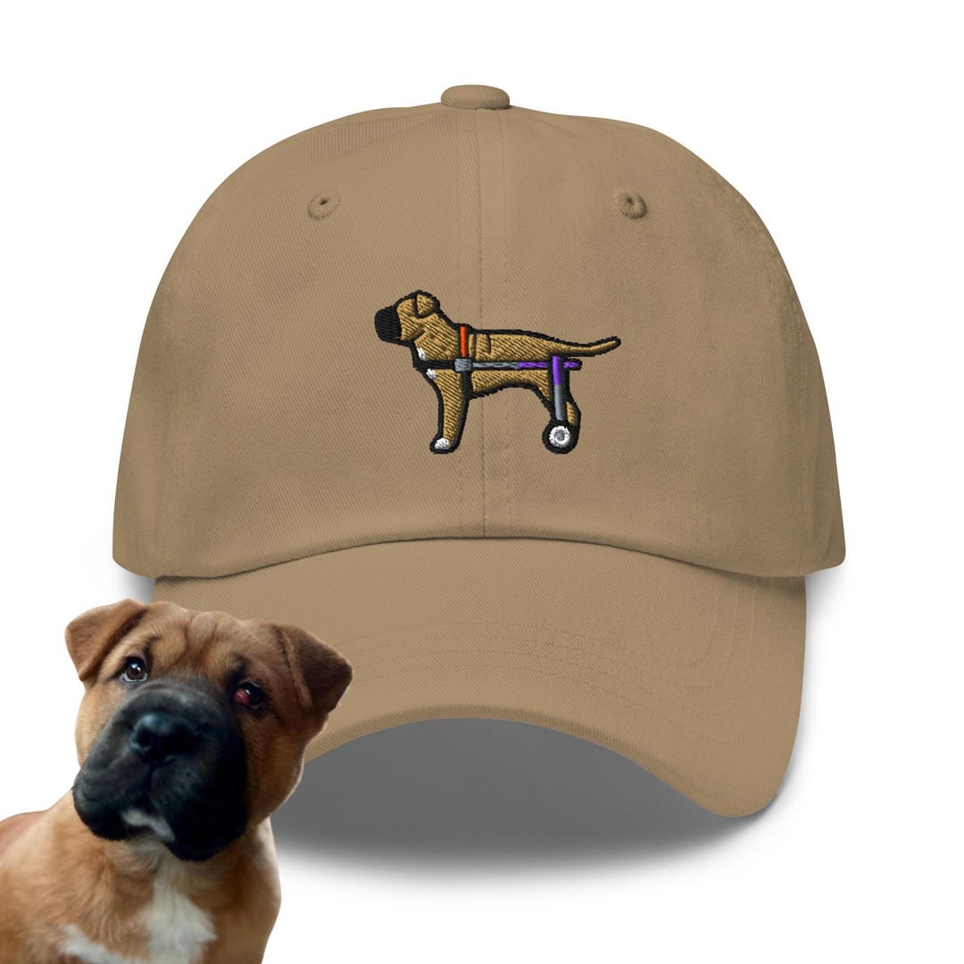 Solomon “sully” Strong Embroidered Dad Cap - Trendy Unstructured Design ...