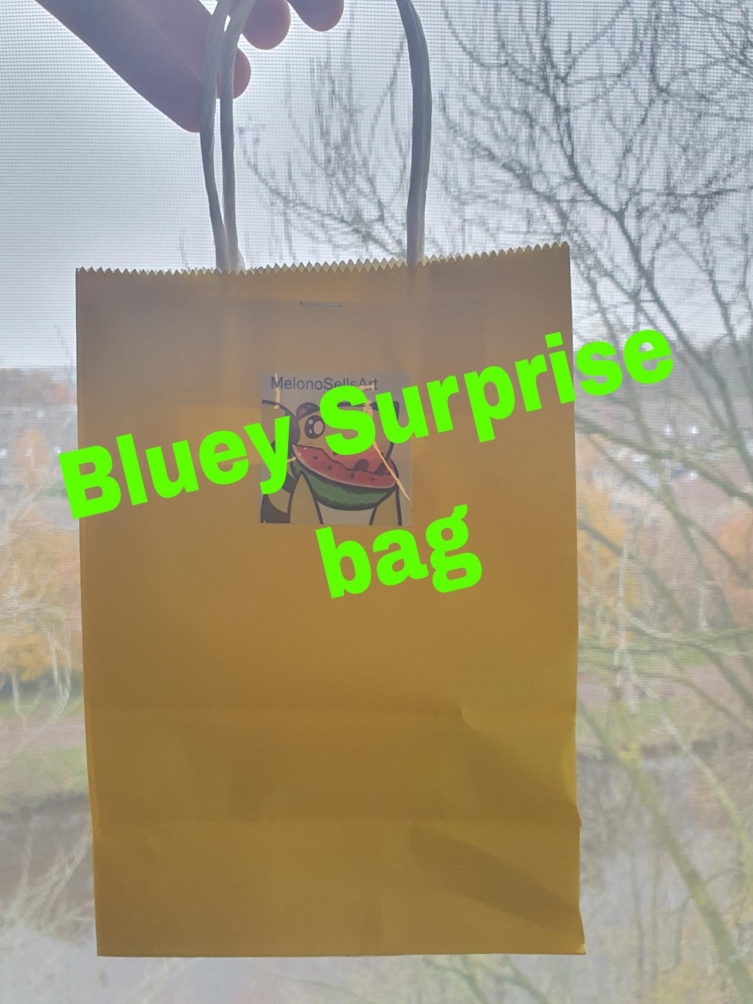 Bluey Surprise Tas Gaat Er Uit - Etsy