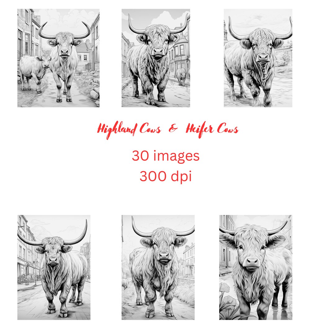 Highland Cow Coloring Sheets - Set of 30 Printables Adorable Designs ...