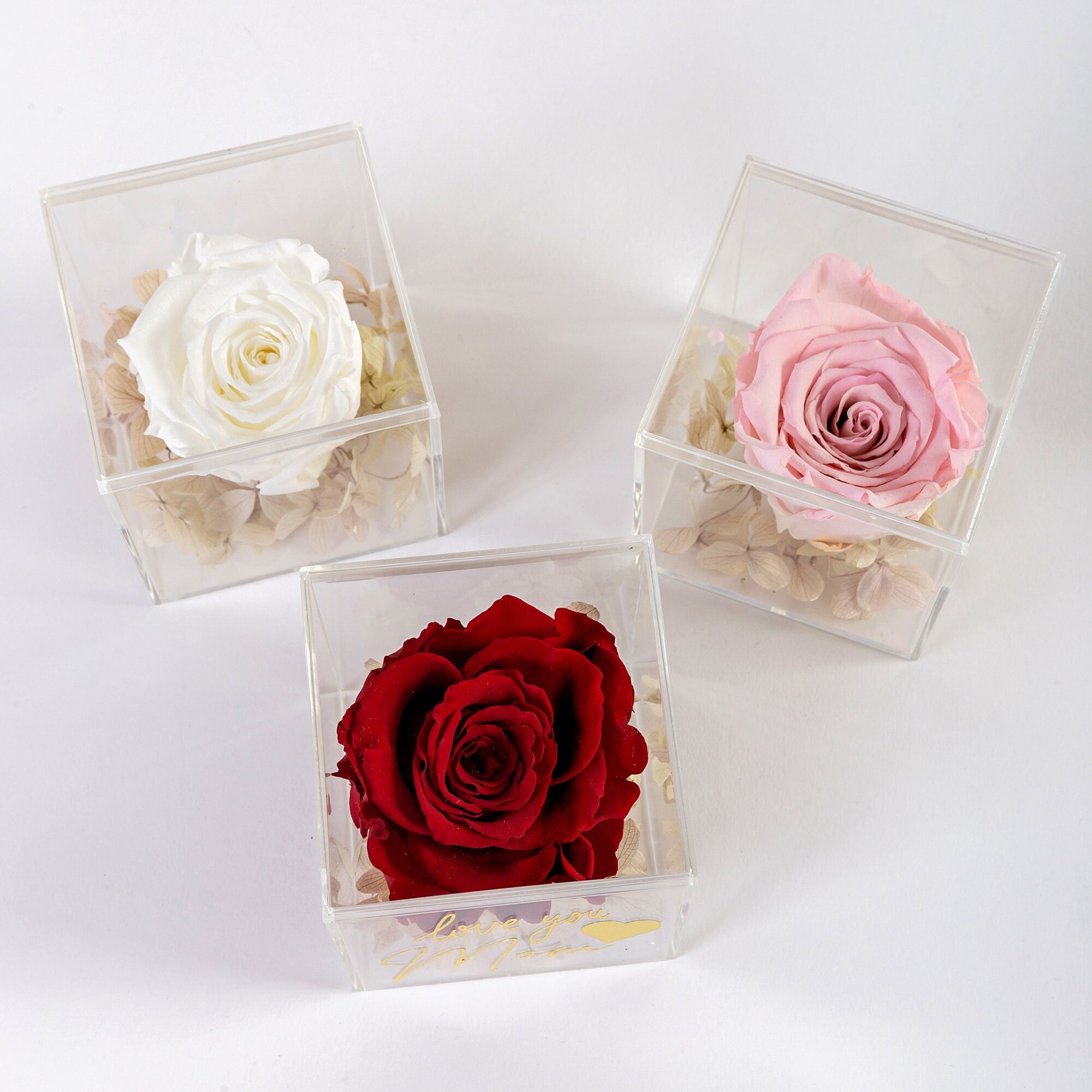 Preserved Rose in Luxe Acrylic Box, Acrylic Rose Box, Eternal Roses ...