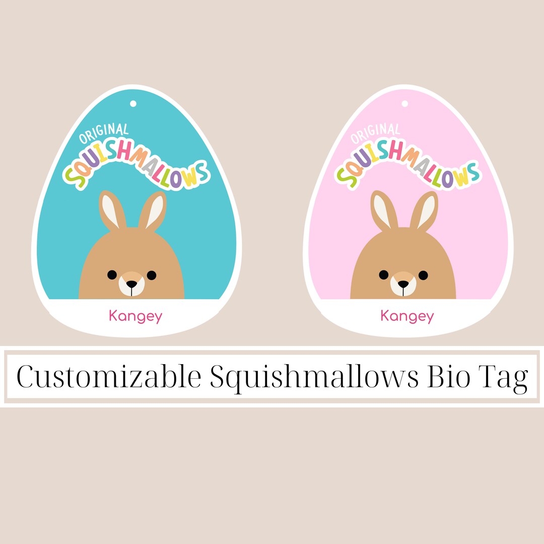 Customizable Squishmallow Bio Tag PNG Clipart Image With a Transparent ...
