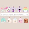 80 Squishmallows PNG Clipart Images With Transparent Backgrounds ...