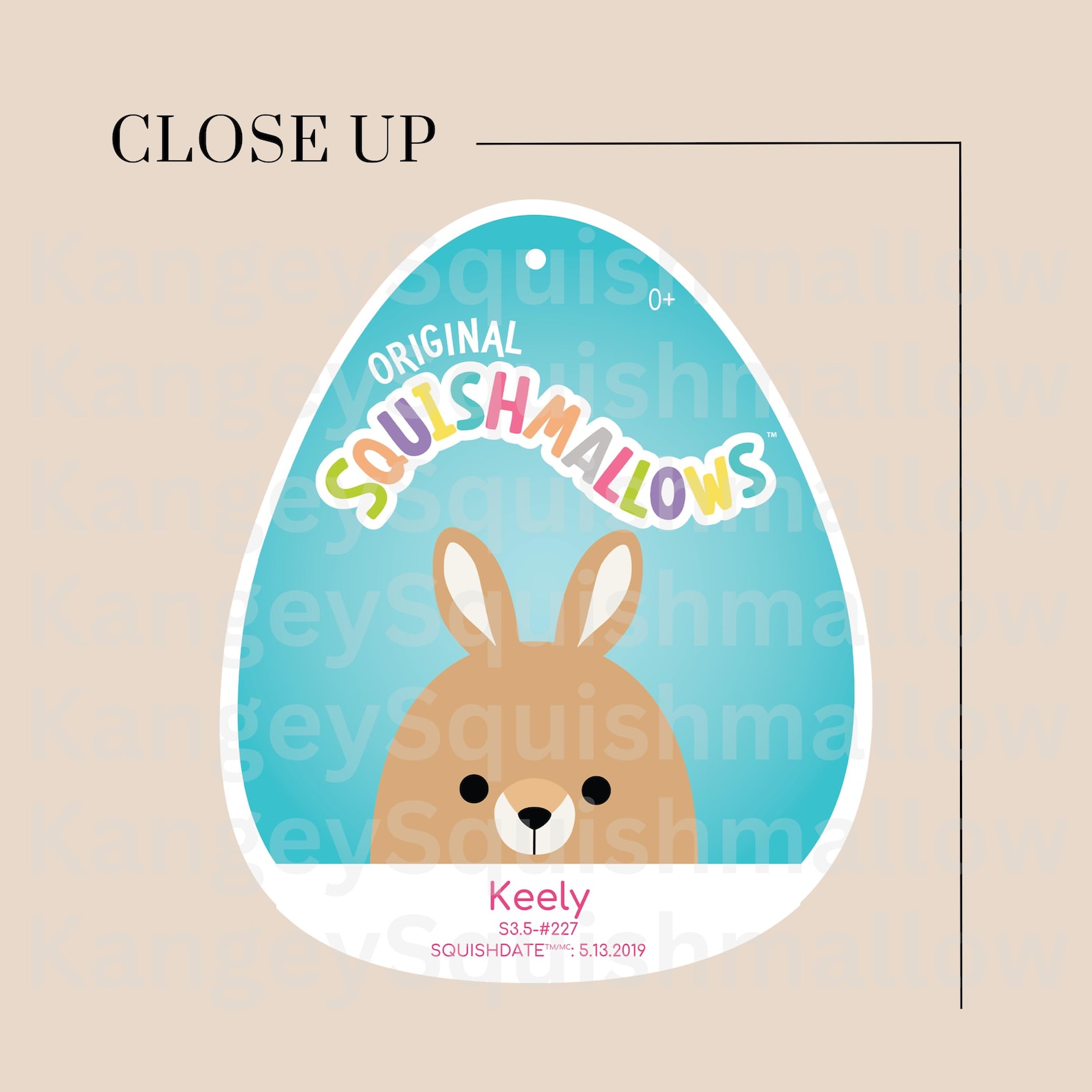16 Squishmallows Bio Tag PNG Clipart Images With Transparent ...