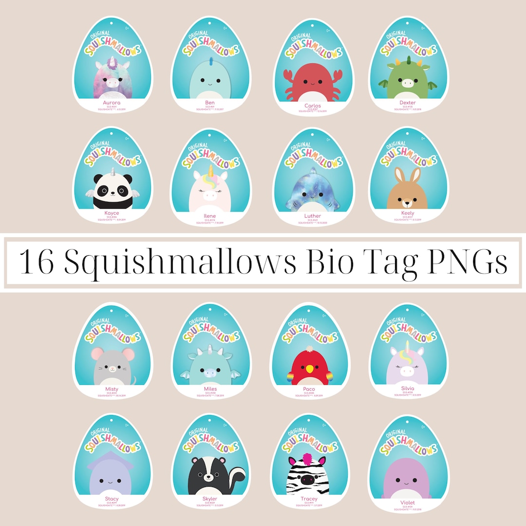 16 Squishmallows Bio Tag PNG Clipart Images With Transparent ...