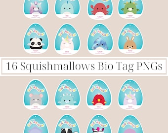 Customizable Squishmallows Bio Tag PNG Clipart Image With a Transparent ...