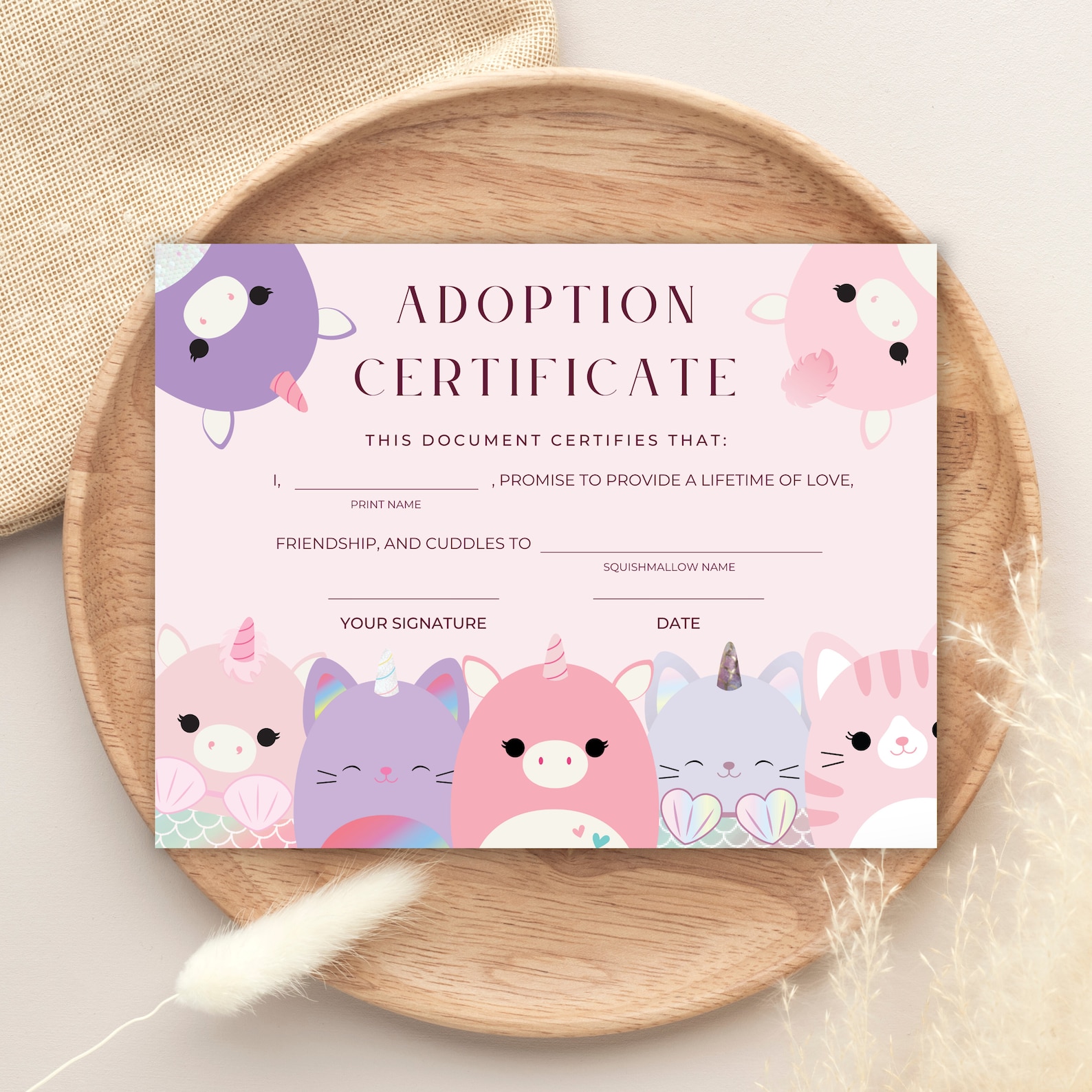 Squishmallows Adoption Certificate INSTANT Download - Etsy