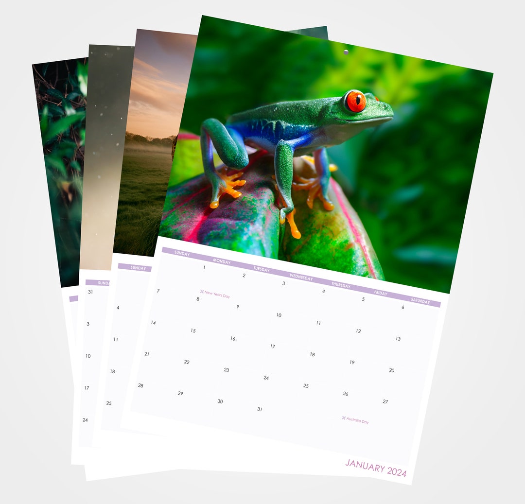 Printable A3 Animal Wall Calendar 2024 12 Months - Etsy UK