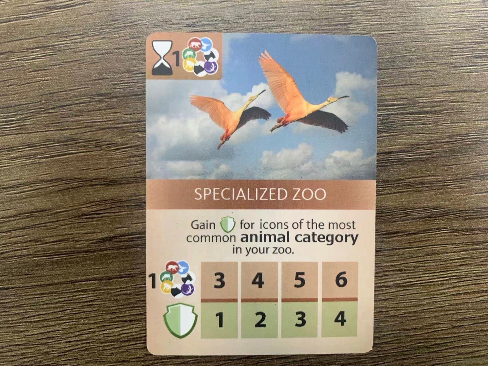 Ark Nova Unofficial 6 extra Final Scoring Cards l Ready to - Etsy 日本