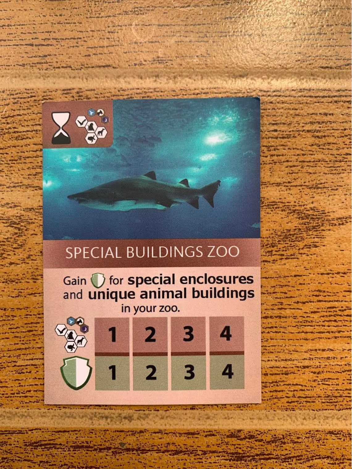 Ark Nova Unofficial 6 Extra Final Scoring Cards L Ready to - Etsy