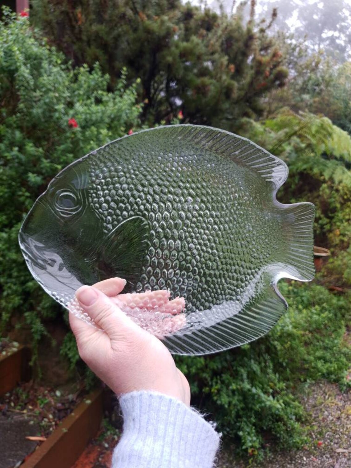 Vintage Arcoroc French Poisson Fish Plate 10.5 / 27cm - Etsy