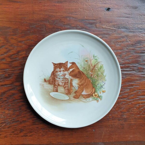 Kitten Plate - Etsy