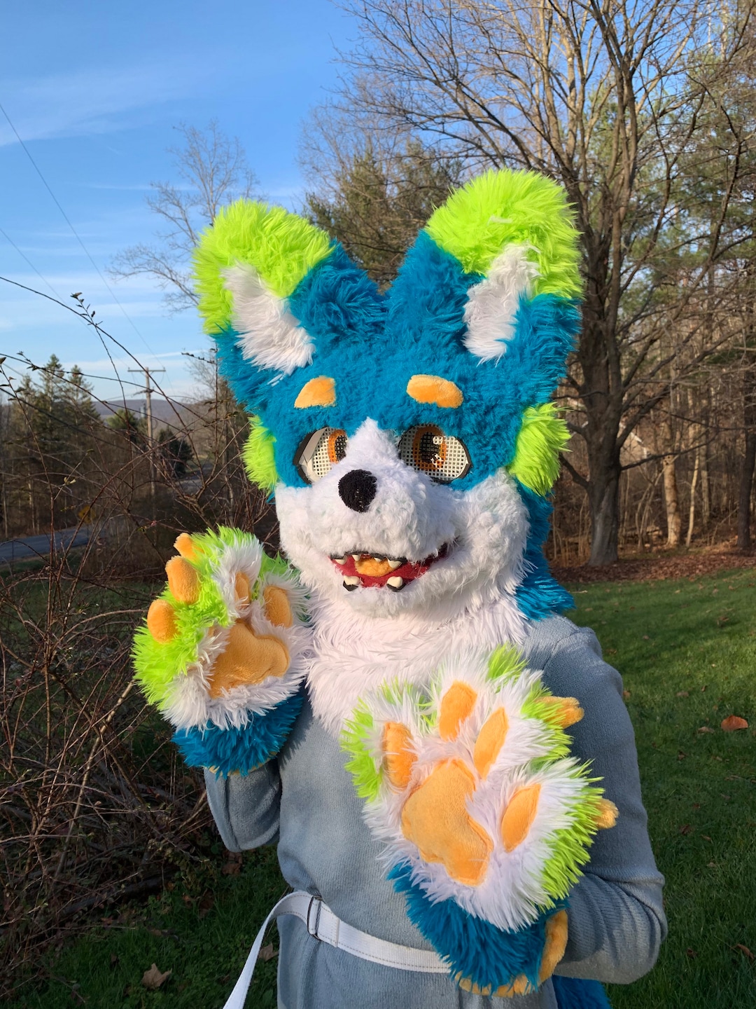 Medium Quality Mini Partial Fursuit - Etsy