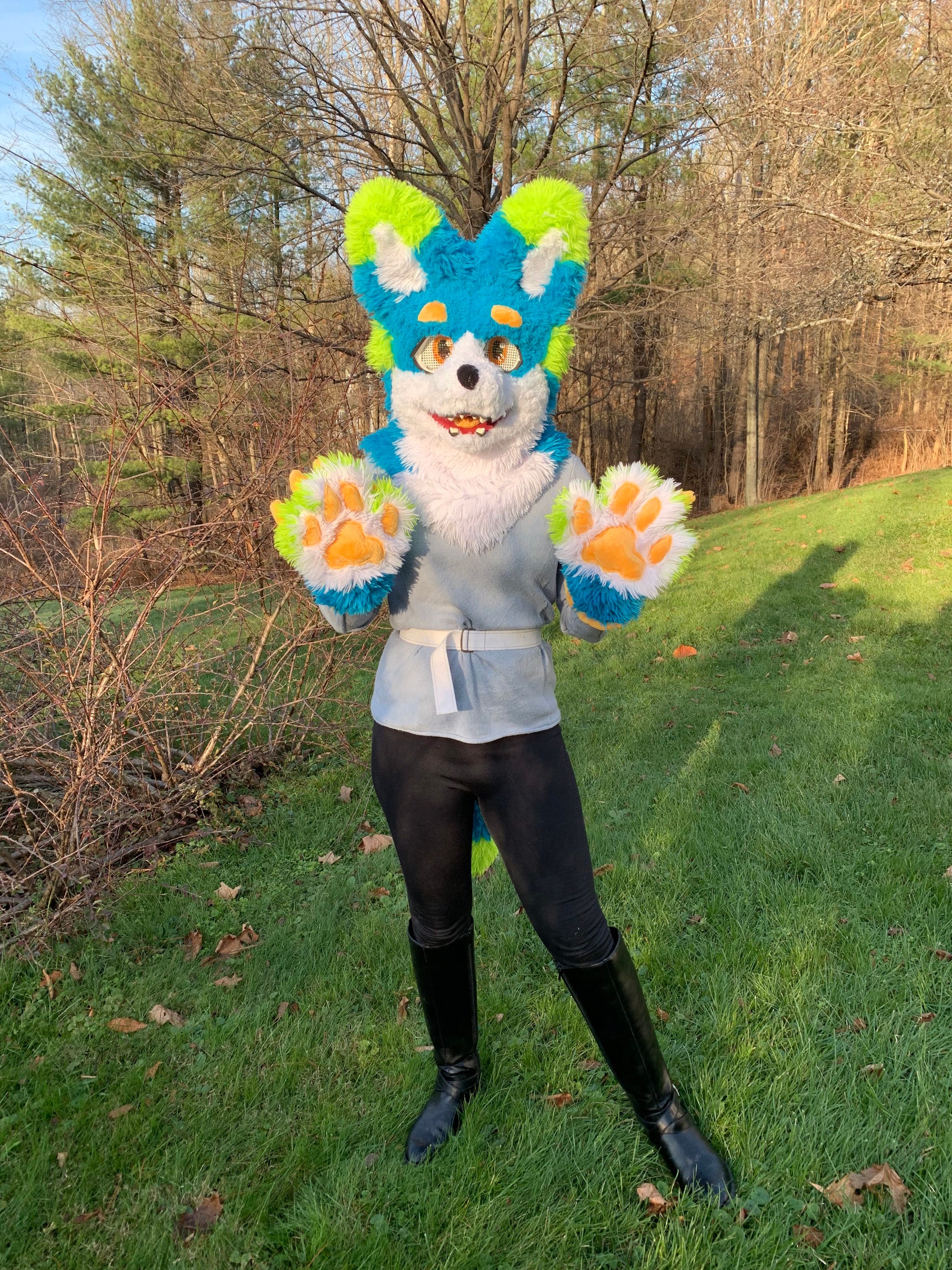 Medium Quality Mini Partial Fursuit - Etsy